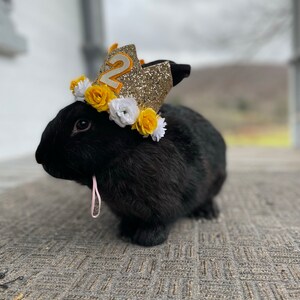 Party Hat for Rabbit, Bunny Birthday Crown, Rabbit Birthday Crown ...