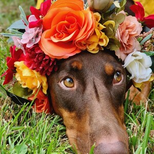 Dog Flower Costume, Custom Dog Flower Crown, Dog Flower Girl, Dog Ring ...