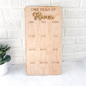 One Year of Baby First Birthday Milestones Sign Monthly Photos 12 ...