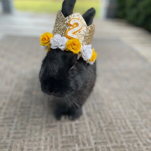Party Hat for Rabbit, Bunny Birthday Crown, Rabbit Birthday Crown ...