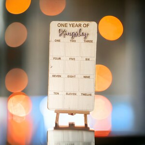 One Year of Baby Board, First Birthday, Milestone Board, One Year Board ...