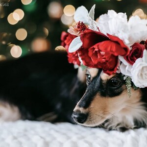 Dog Flower Costume, Custom Dog Flower Crown, Dog Flower Girl, Dog Ring ...