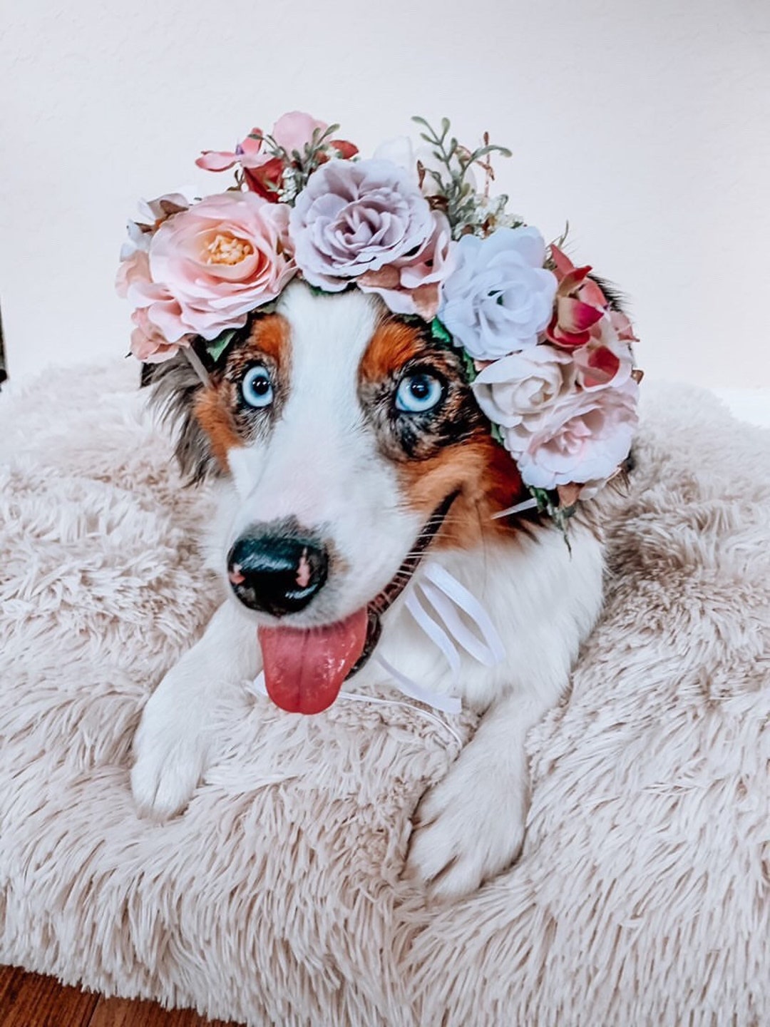 Dog Flower Crown, Dog Floral Crown, Dog Photography Prop, Dog ...