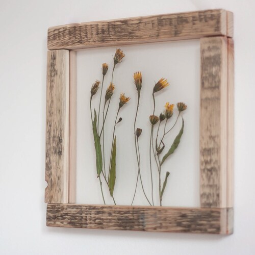 Real Pressed Dandelions 8x8 Pressed Flower Wall Art - Etsy