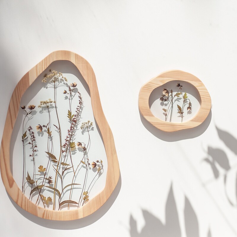 Herbarium Frame - Etsy