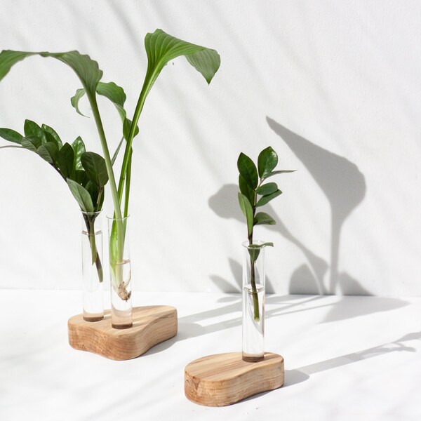 Hanging Rooting Vase - Etsy