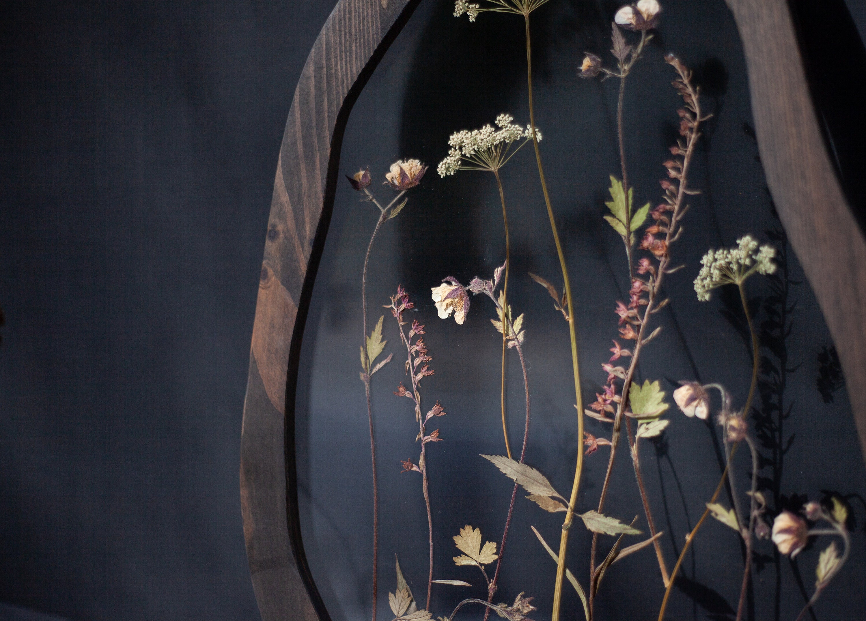 Extra Large Pressed Flowers Frame - Botanical Pressed Flower Art - Wavy ...