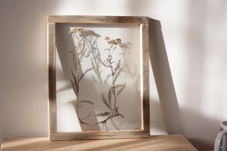Large Pressed Flower Frame - Botanicals Framed Art - Wall Decor ...