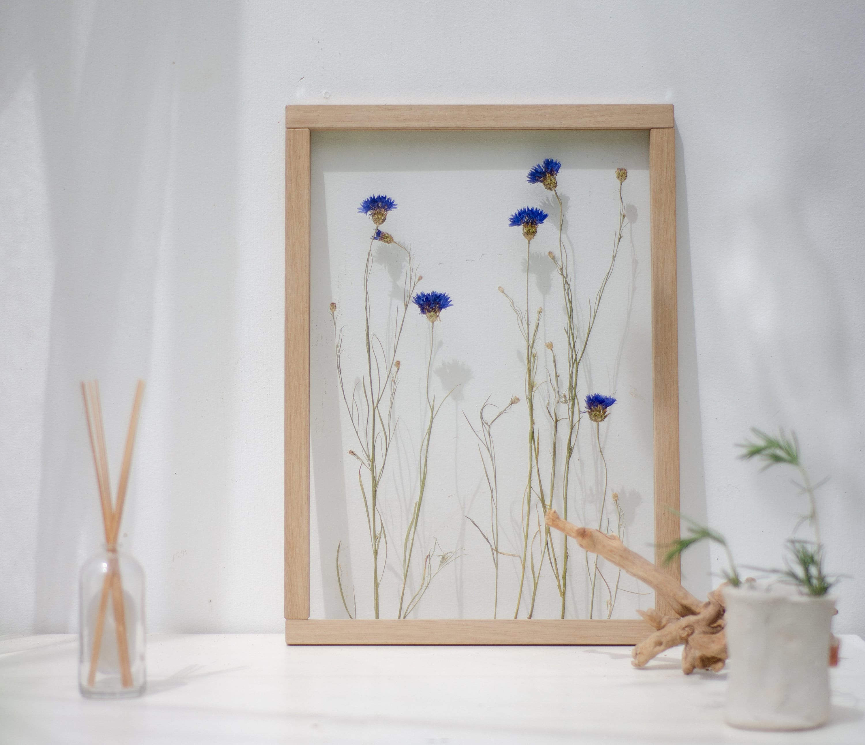 Huge Pressed Flower Frame - Wall Decor 13x18" - Herbarium - Pressed ...