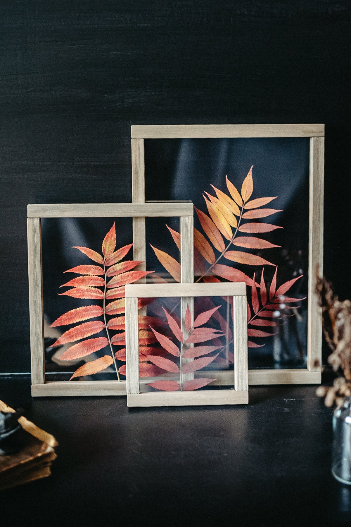 Real Pressed Leaf Frame 8x8 Framed Botanicals - Etsy UK