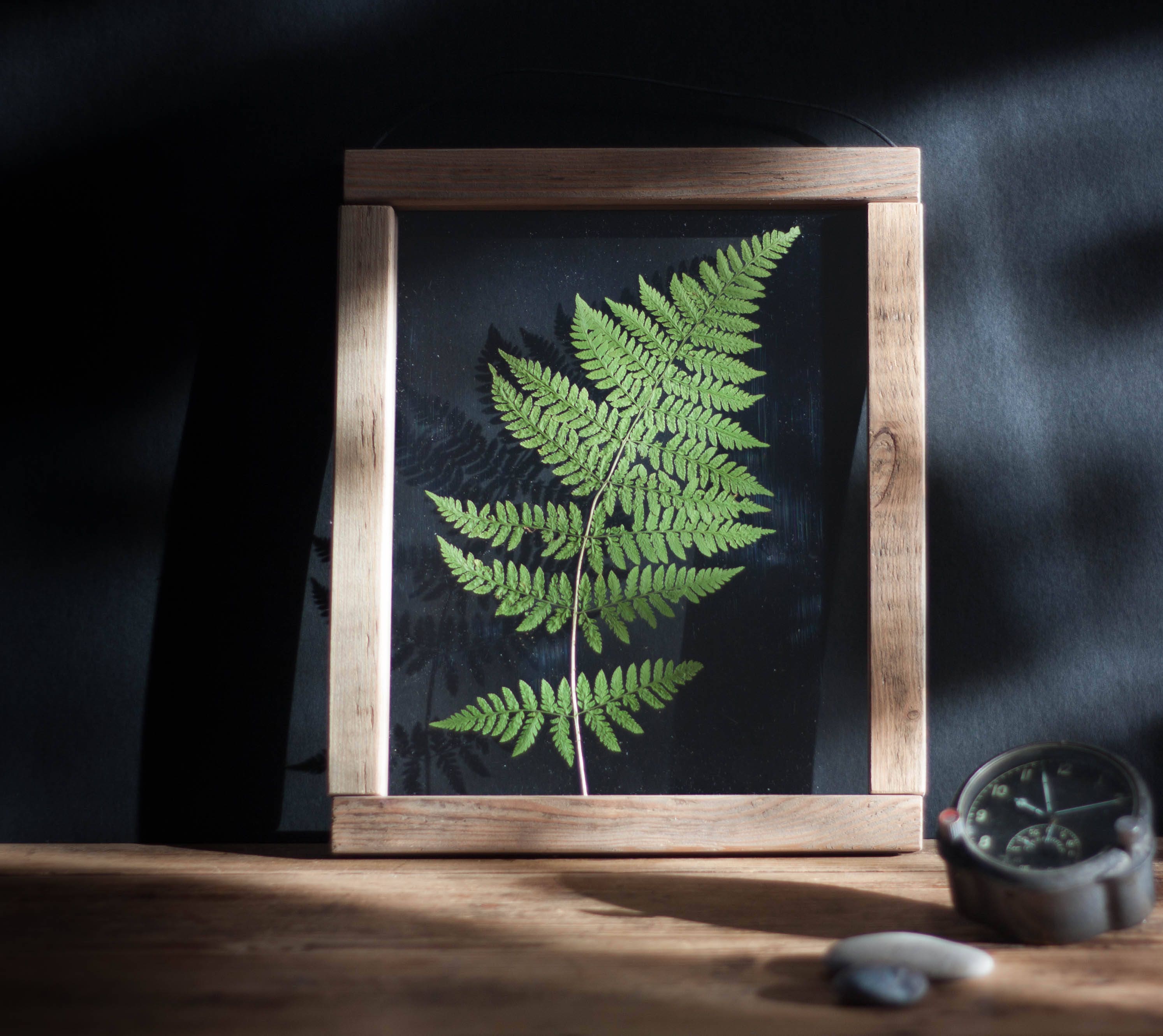 The Magic of Fern Large Wall Decor 10.5x12.5 Pressed | Etsy