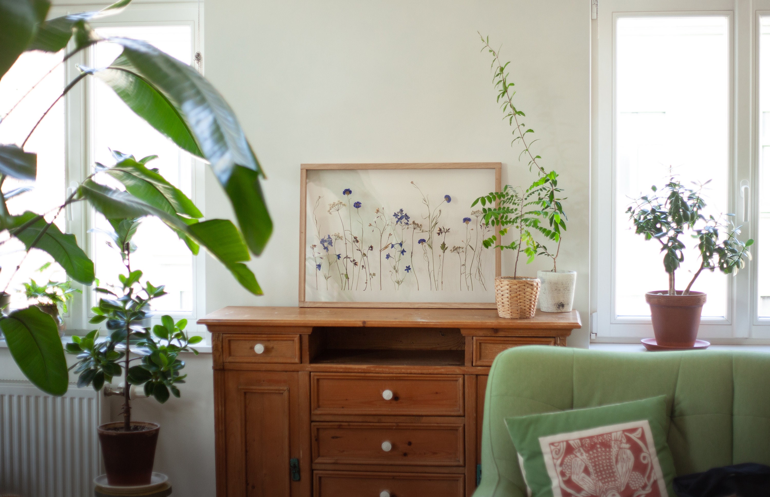 Extra Large Pressed Flower Frame Wall Decor 20x28 - Etsy