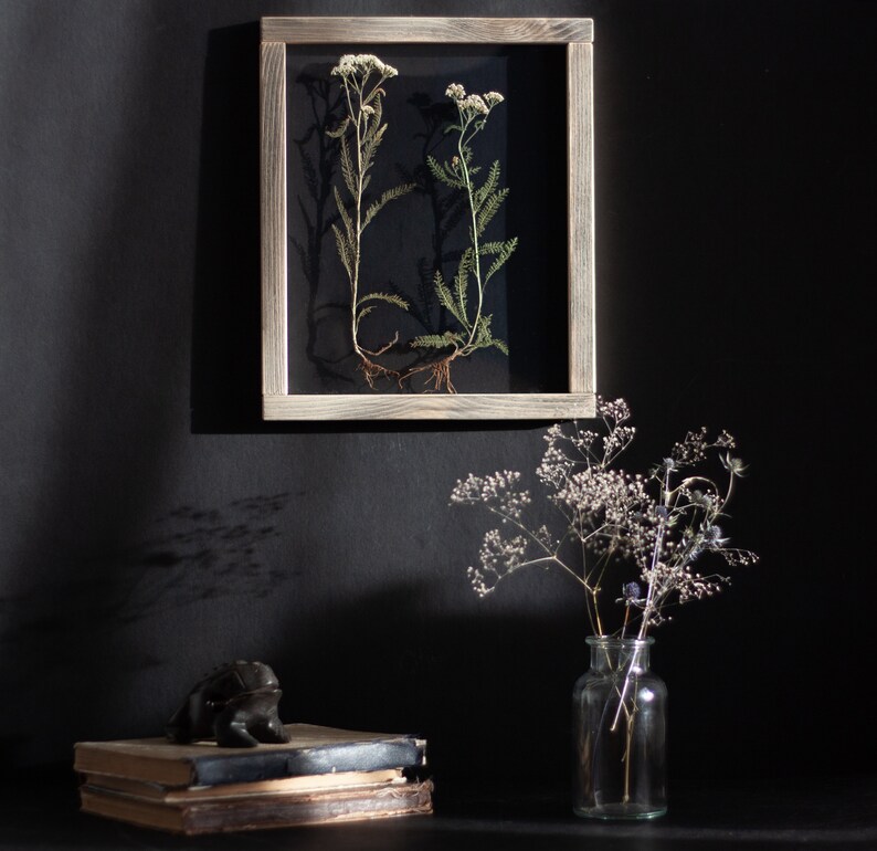Botanicals Framed in a Wooden Frame 10.5x12.5" - Pressed Flower Frame ...