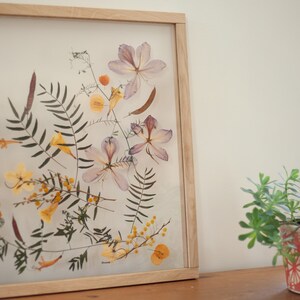 Extra Large Real Pressed Flower Art - Wall Decor 20x28" - Herbarium ...