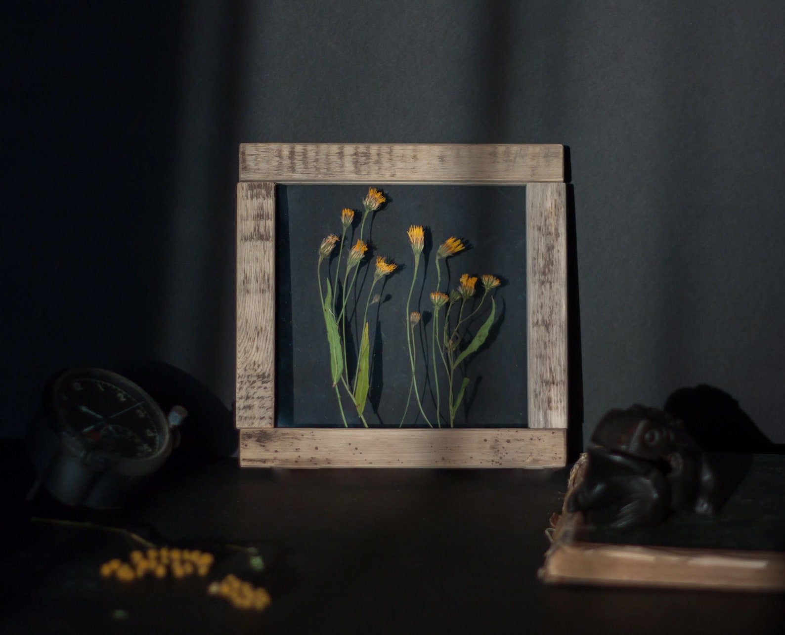 Real Pressed Dandelions 8x8 Pressed Flower Wall Art - Etsy