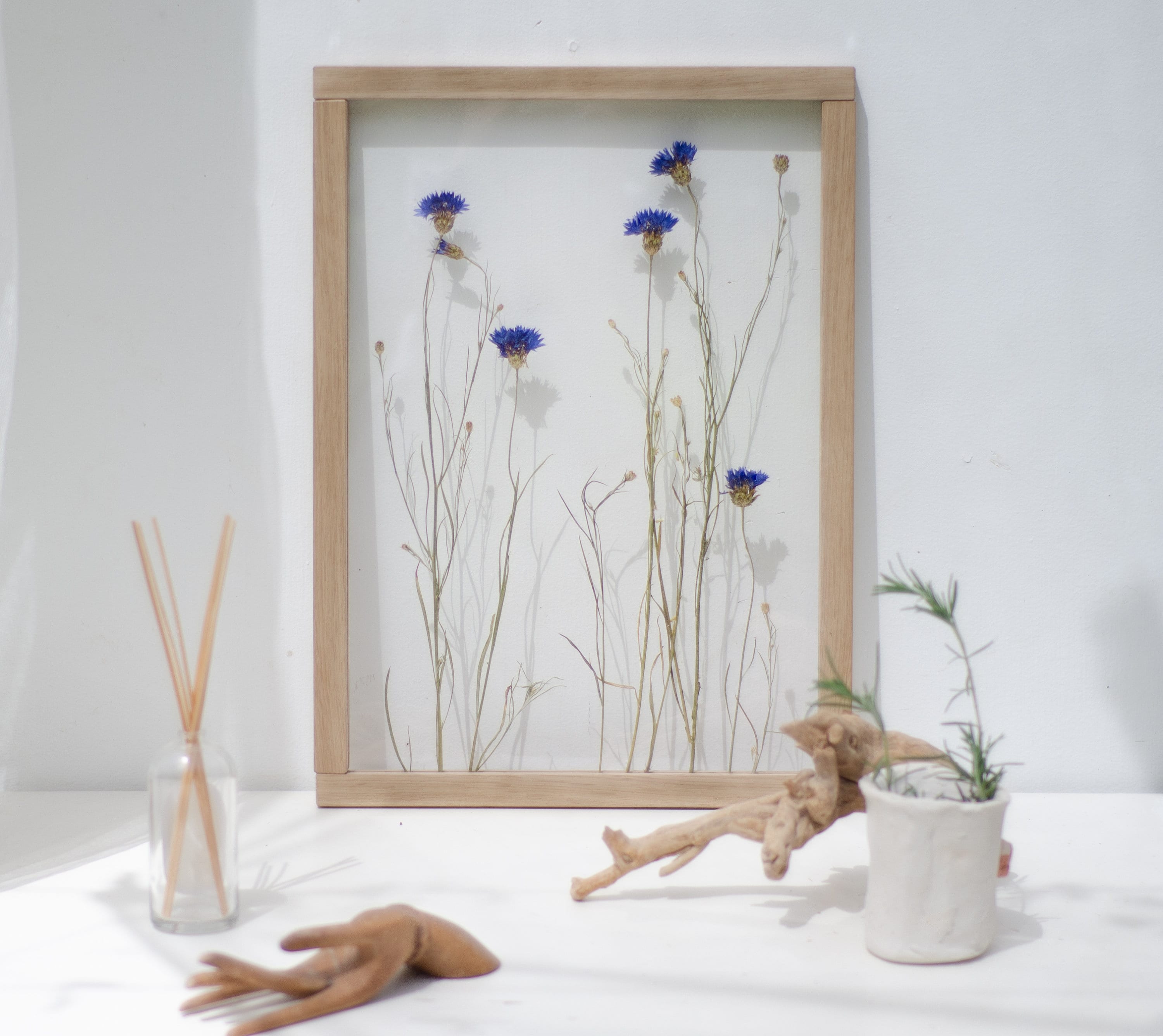 Huge Pressed Flower Frame - Wall Decor 13x18" - Herbarium - Pressed ...