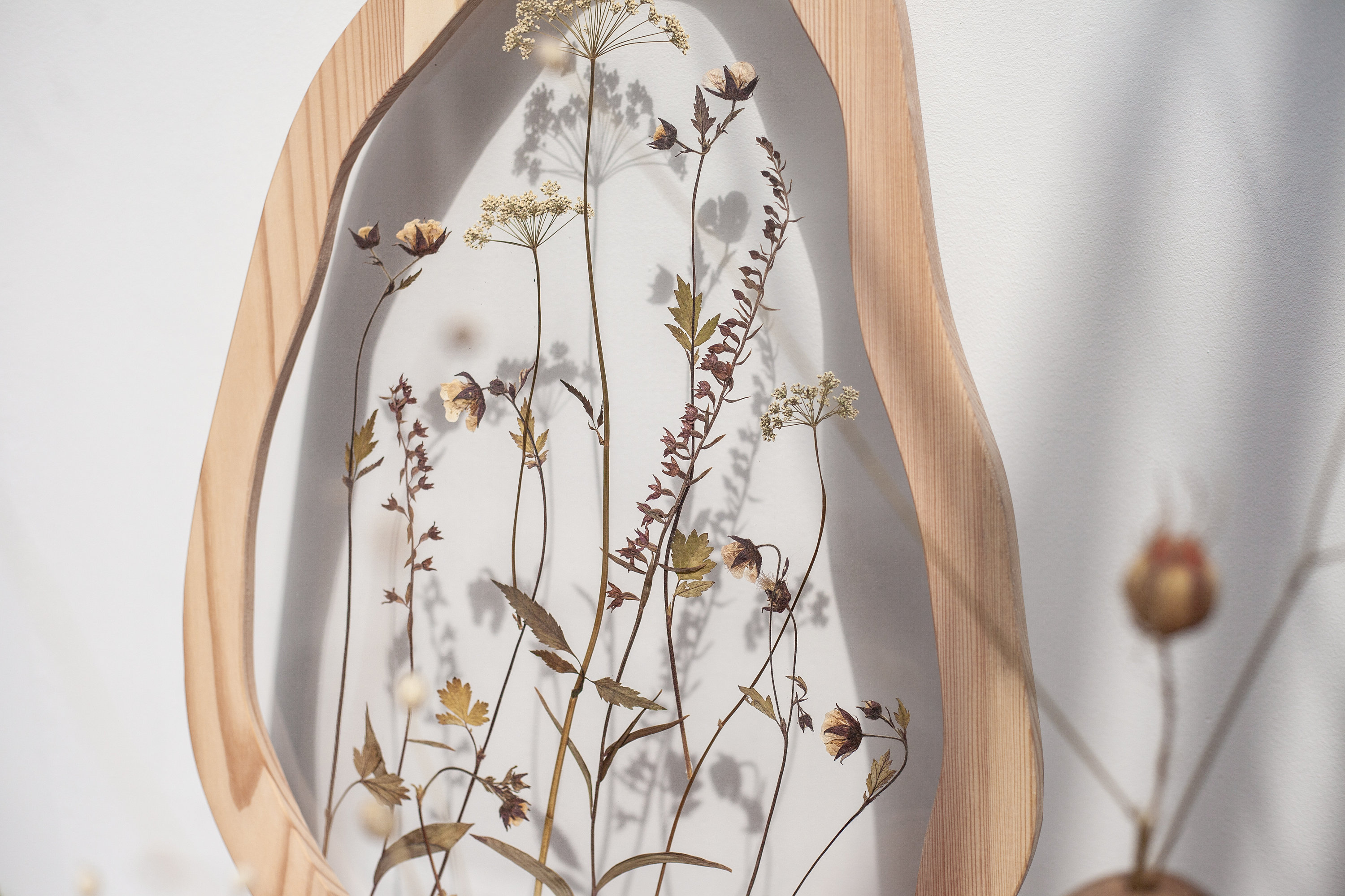 Extra Large Pressed Flowers Frame - Botanical Pressed Flower Art - Wavy ...