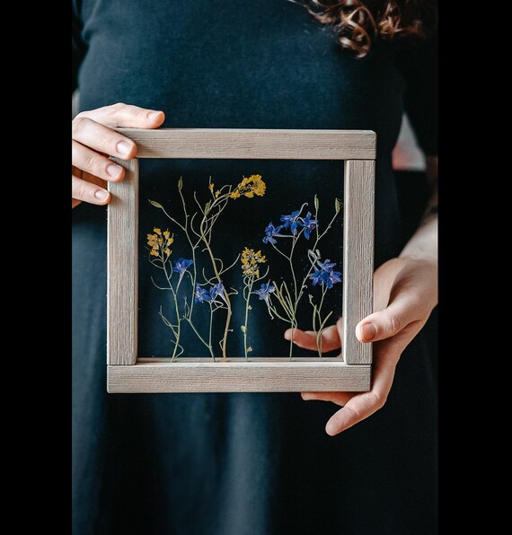 Herbarium Frame 8x8 Framed Botanicals Real Pressed | Etsy