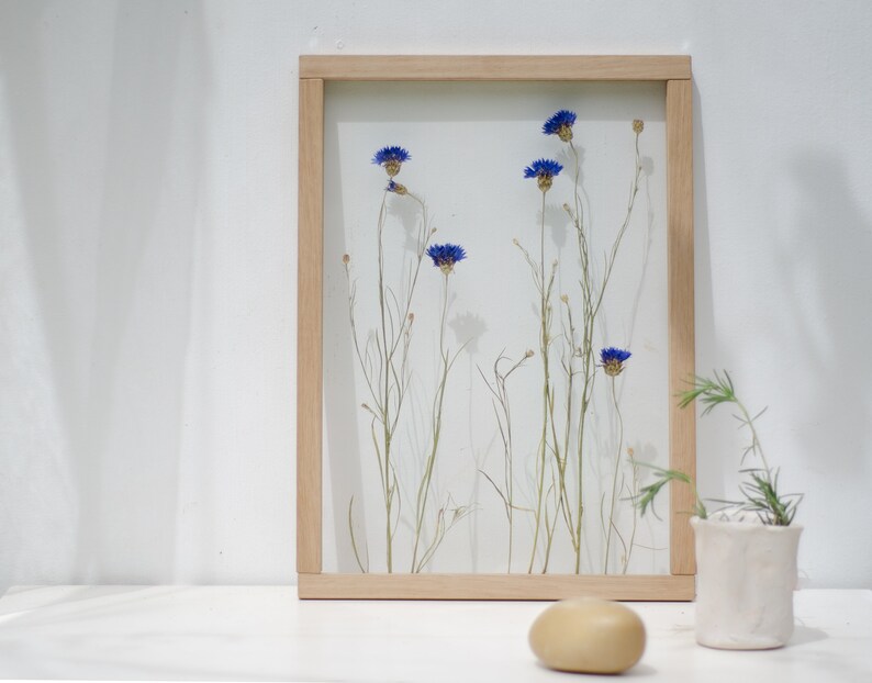 Huge Pressed Flower Frame Wall Decor 13x18 Herbarium - Etsy