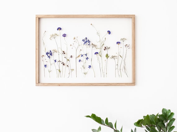 Extra Large Pressed Flower Frame Wall Decor 20x28 - Etsy