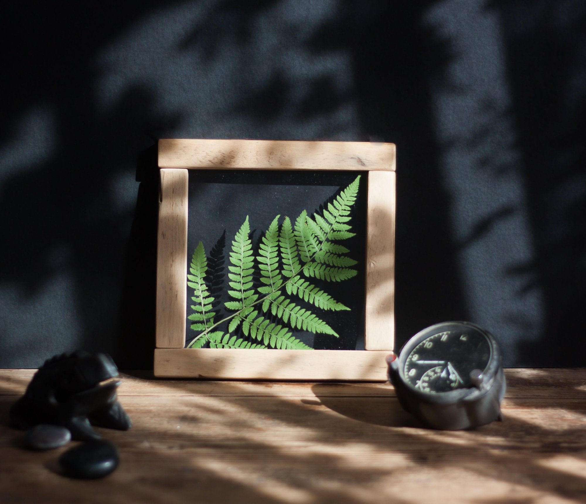 Magic of Fern Wall Decor 8x8 Pressed Fern | Etsy