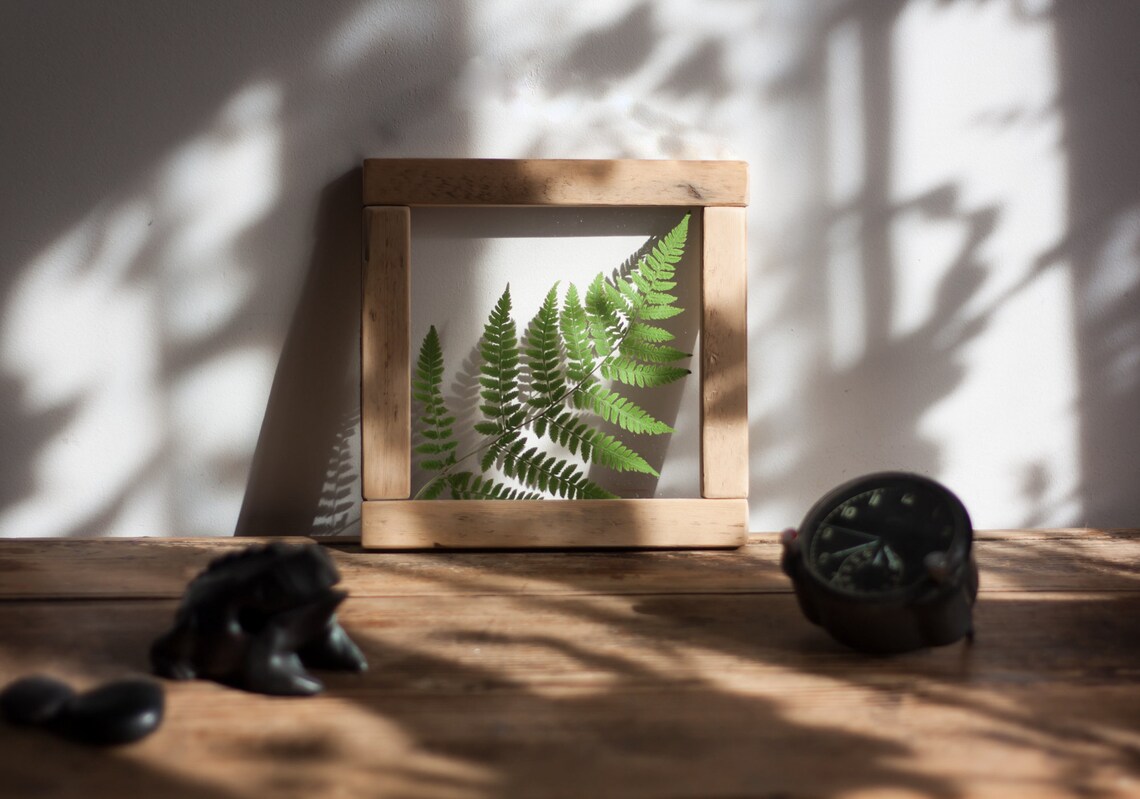 Magic of Fern Wall Decor 8x8 Pressed Fern | Etsy