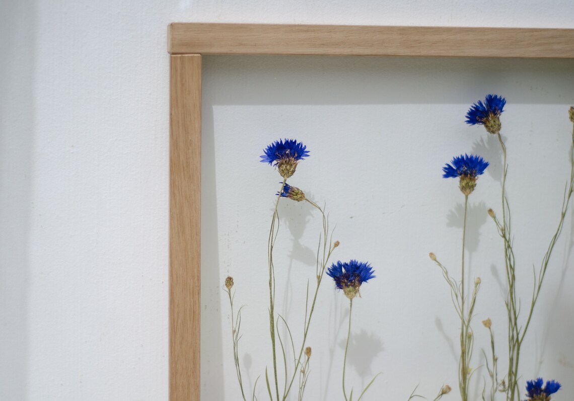 Huge Pressed Flower Frame Wall Decor 13x18 Herbarium - Etsy