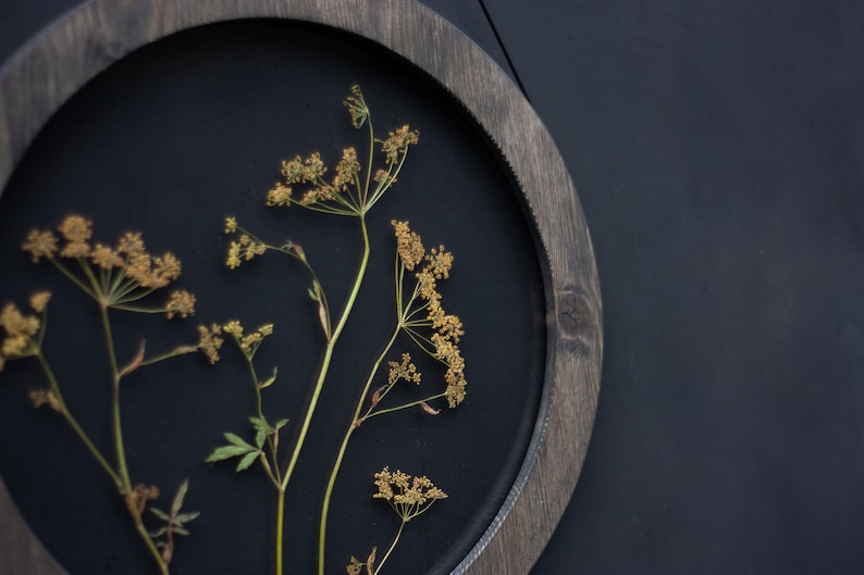 Wall Decor Set Botanical Wall Art Framed Pressed Flower - Etsy