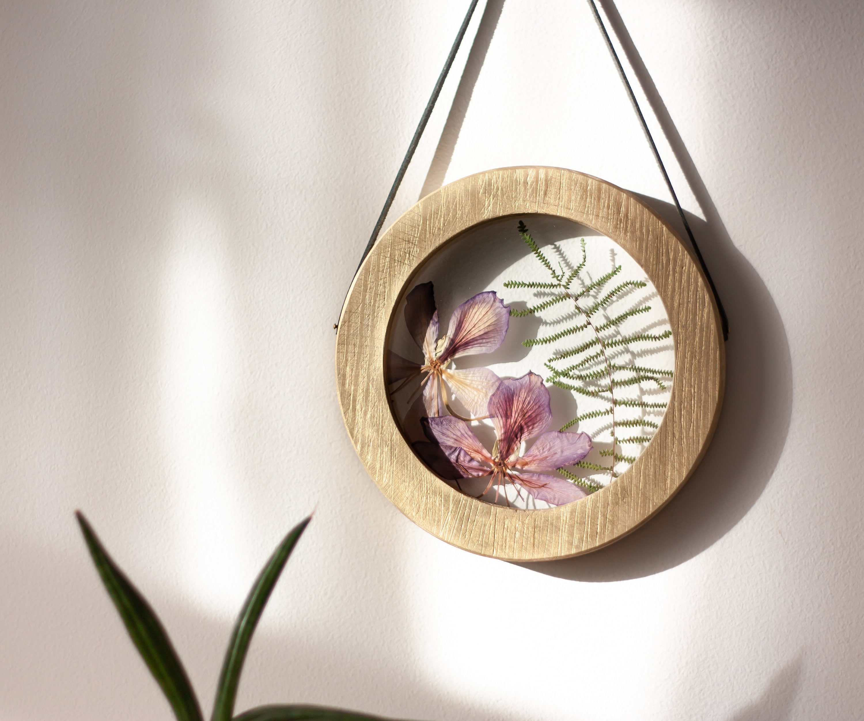 Real Botanicals Framed in Round Wooden Frame 8 Pressed - Etsy UK