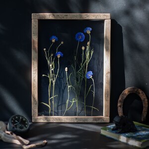 Huge Pressed Flower Frame - Framed Wall Decor 13x18" - Pressed Flower ...