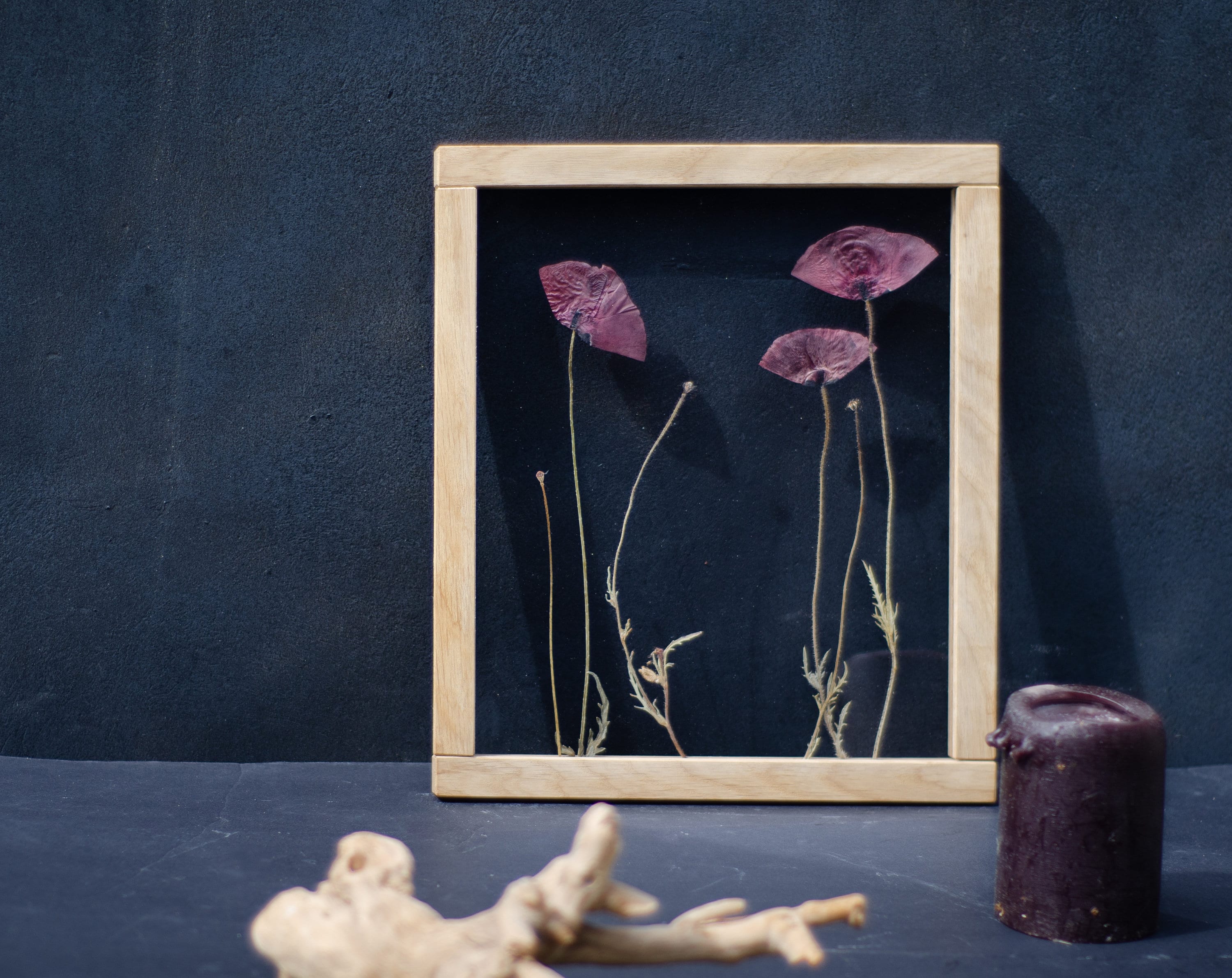 Large Wild Poppy Flower - Wall Decor 10.5x12.5" - Pressed Flower Frame ...