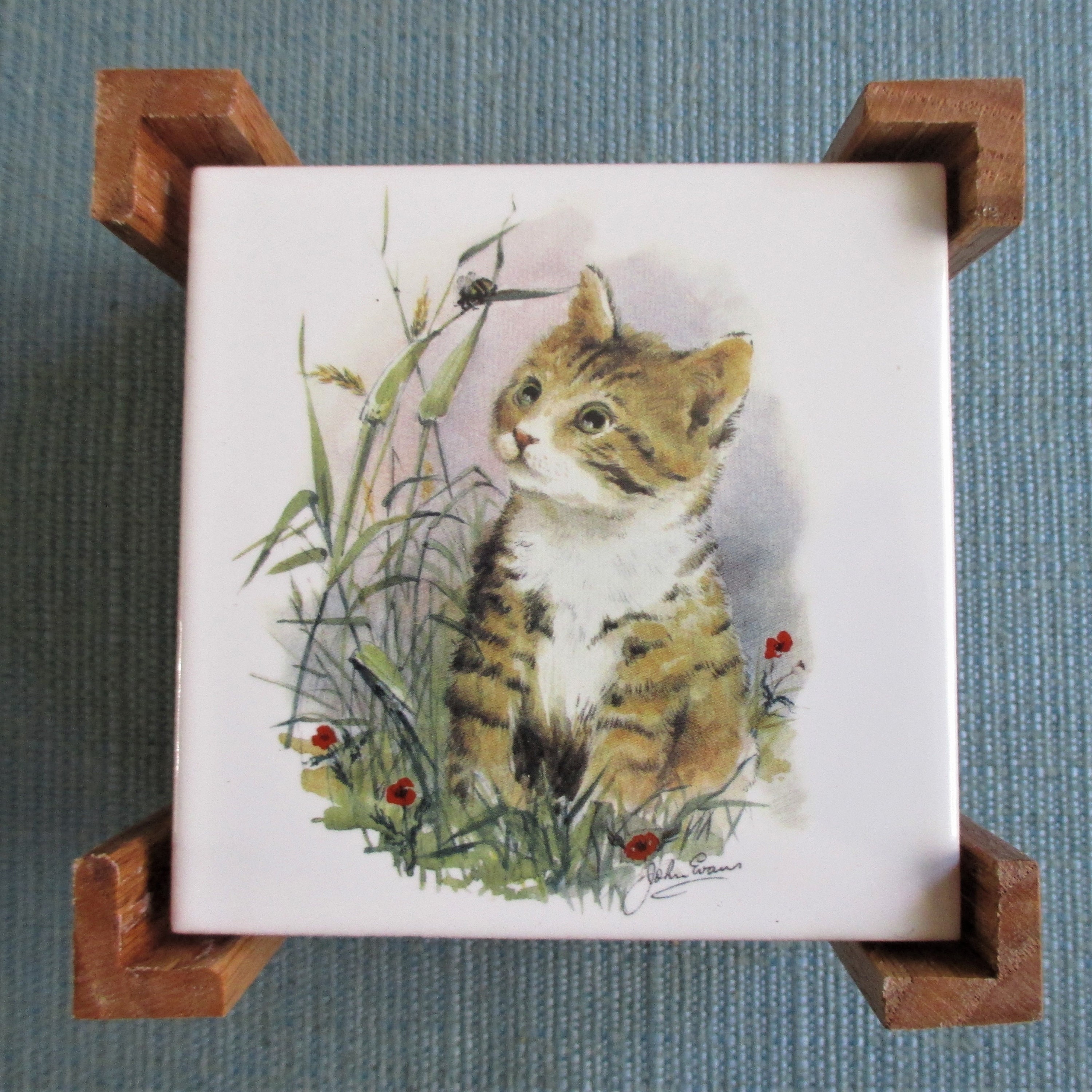 Playful Kittens, Kittens, Cats, Coaster, Tile Coasters, Coaster Set ...