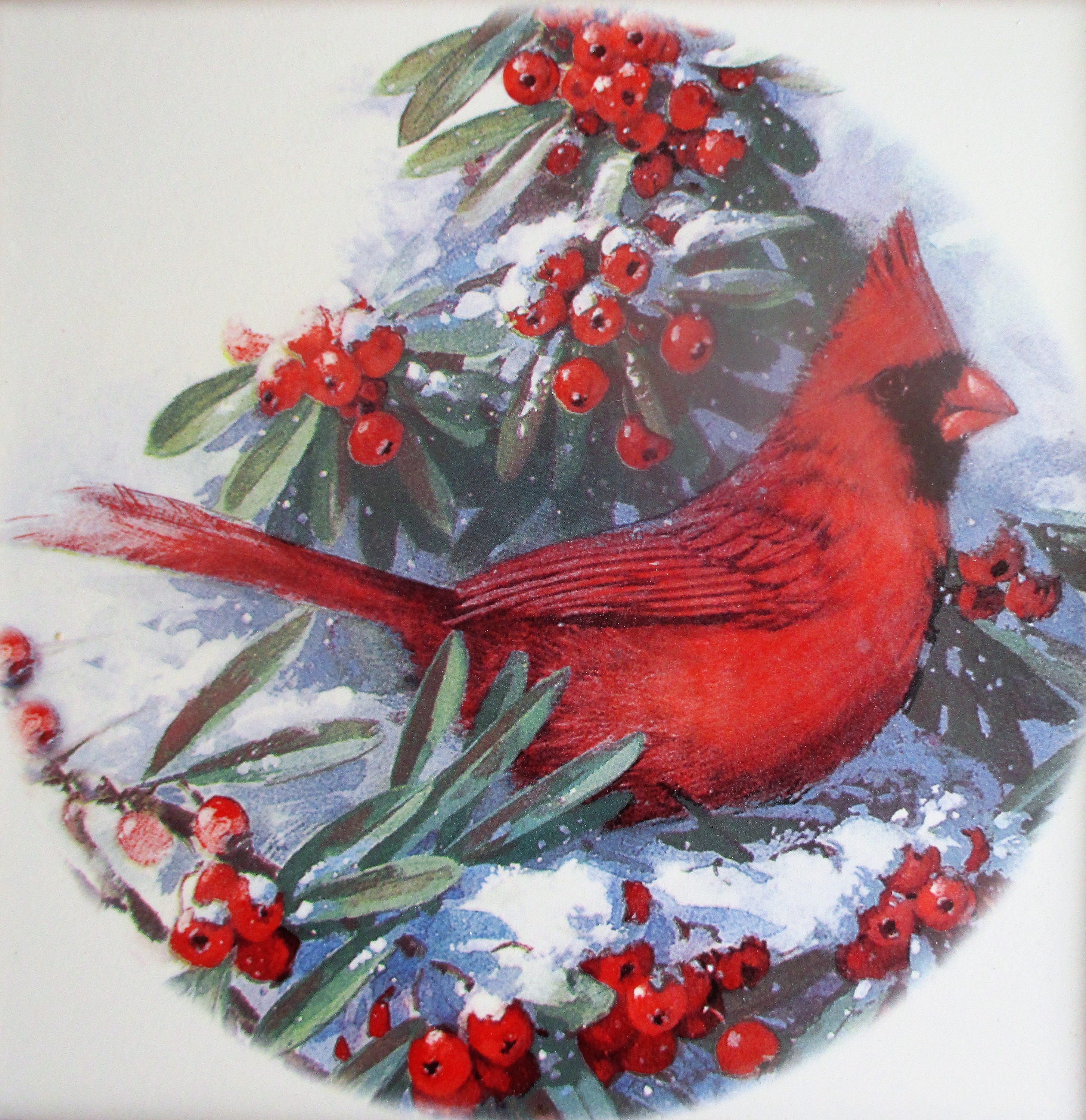 Red Cardinal with Berries cardinal red cardinal decorative | Etsy
