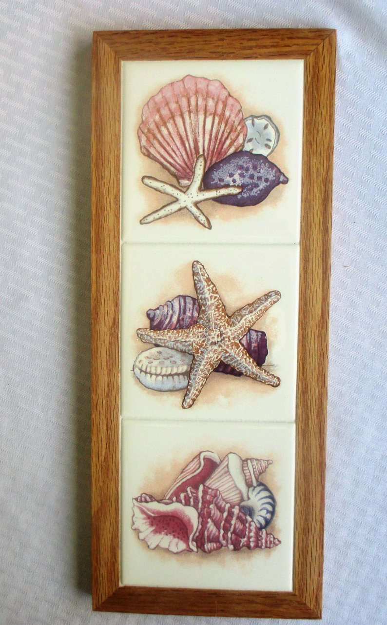Sea Shells Wall Art Wall Decor Bathroom Decor Shower - Etsy