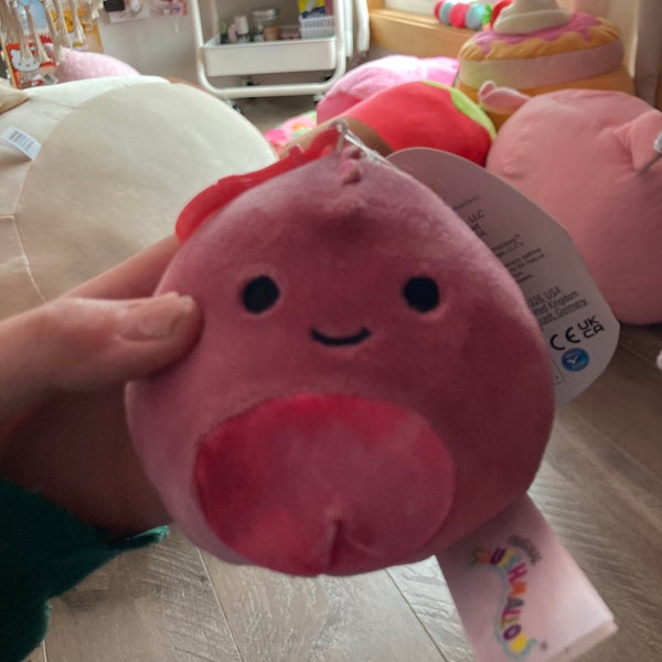 Squishmallow Clips - Etsy
