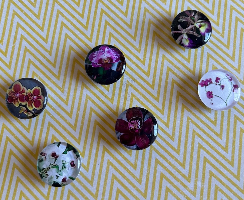 Set of Six Glass Orchid Magnets - Orchids - Orchid Flowers Magnet Set ...