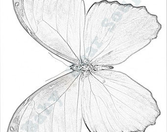 Coloring Page, Butterfly, Printable, Symmetrical, Coloring, Digital ...