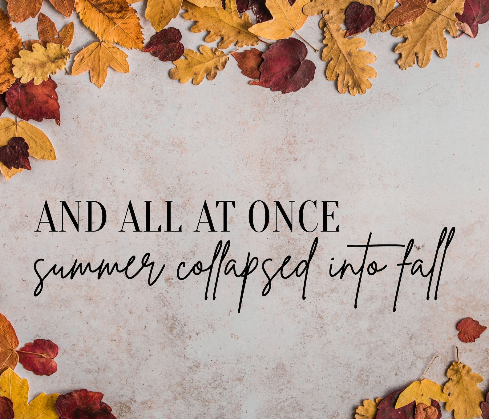 Summer Collapsed into Fall SVG Autumn Quote Digital Download | Etsy