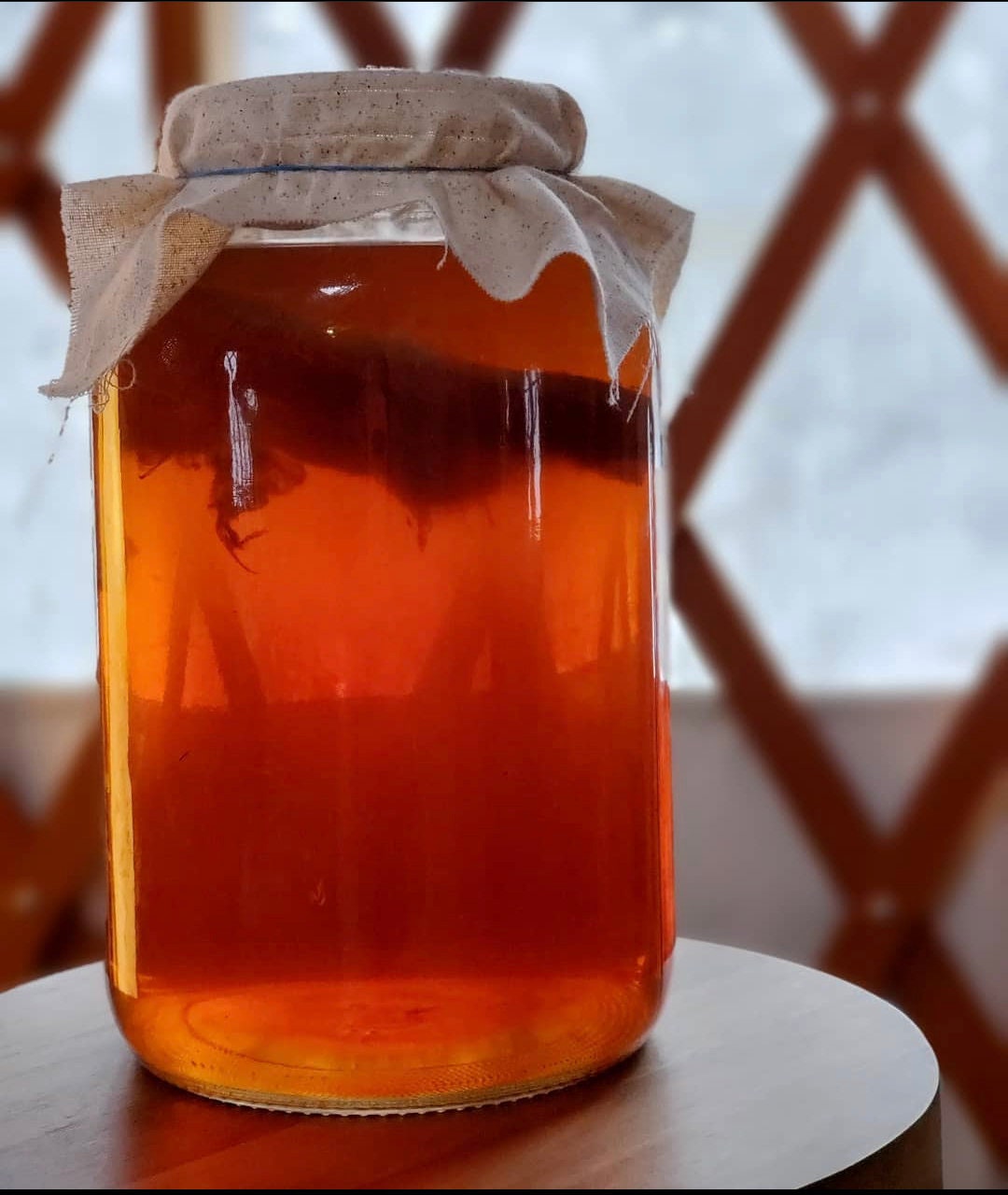 Kombucha Kit for Beginners! Everything You Need - Scoby, Starter, Teabags, Sugar, and ...