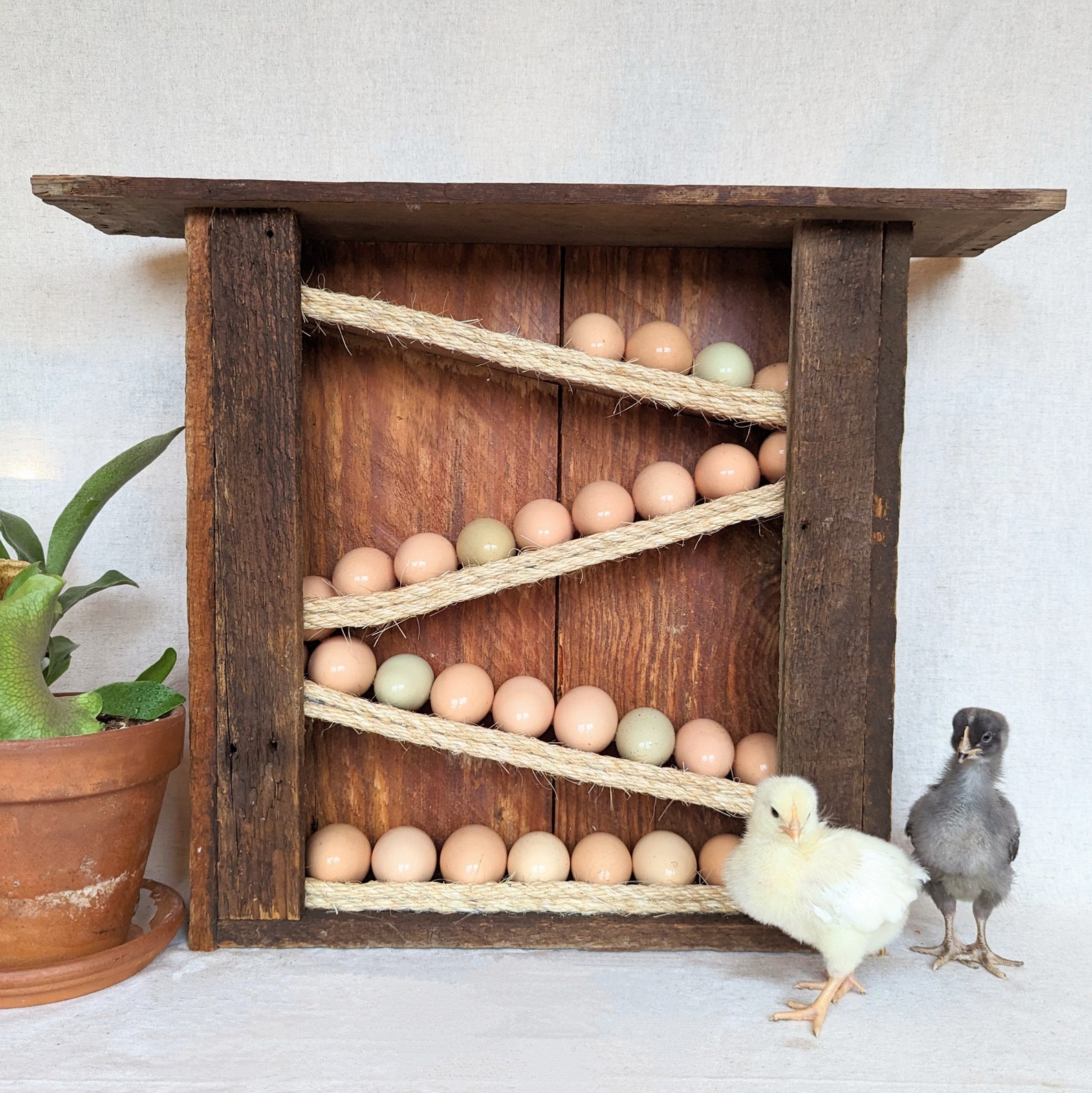 Fresh Egg Storage Large Egg Dispenser Egg Wall Rack Egg - Etsy