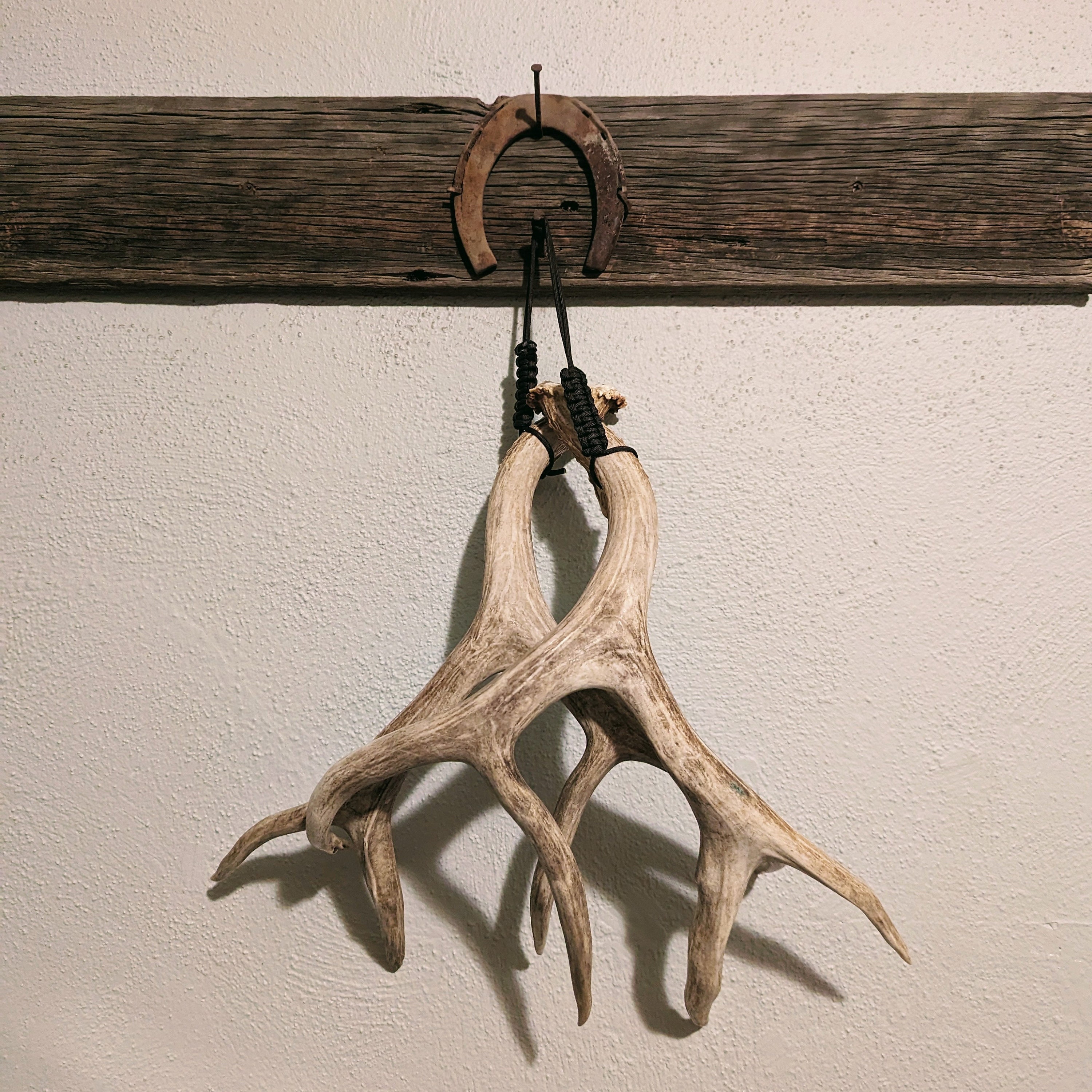 Shed Strap Antler Display - Shed Hanger - Shed Hunting Display Strap ...
