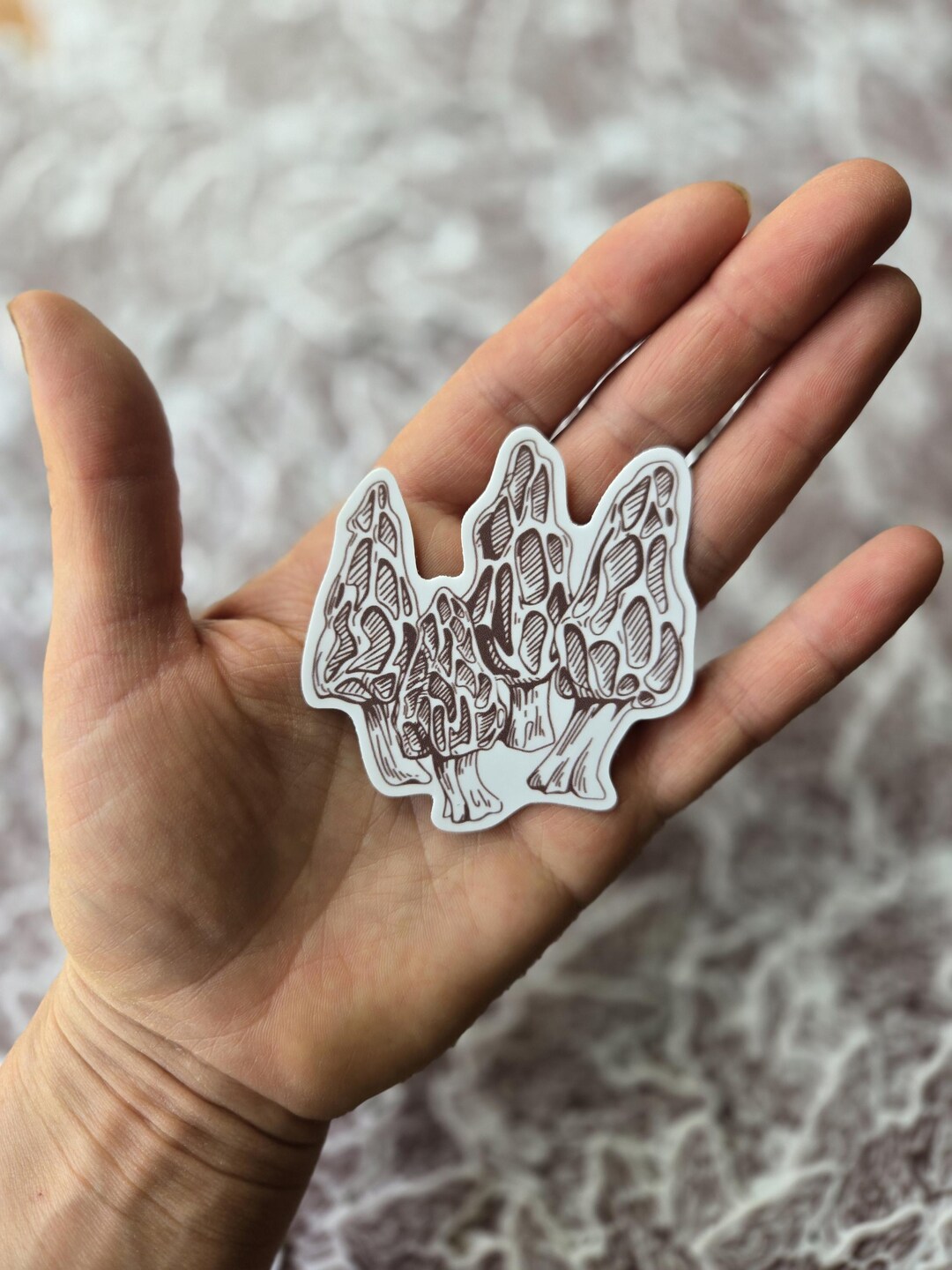 Morel 2.5" Vinyl Sticker Weatherproof Mushroom Hunting Morchella ...