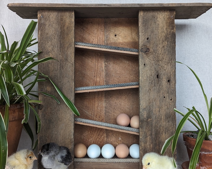 Fresh Egg Storage Large - Egg Dispenser - Egg Wall Rack - Egg Skelter ...