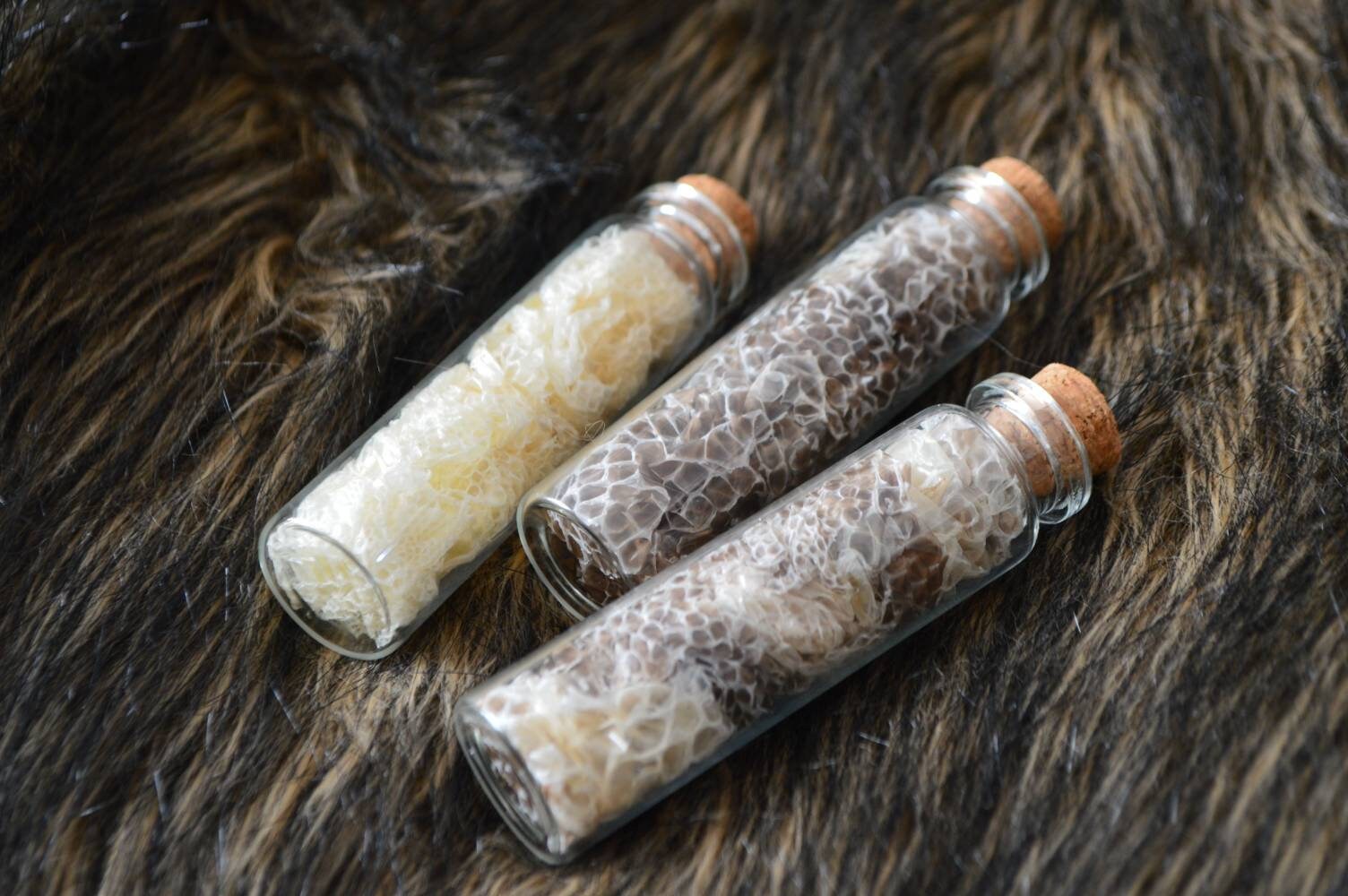 Shed Snake Skin in Displayable Vial - Etsy