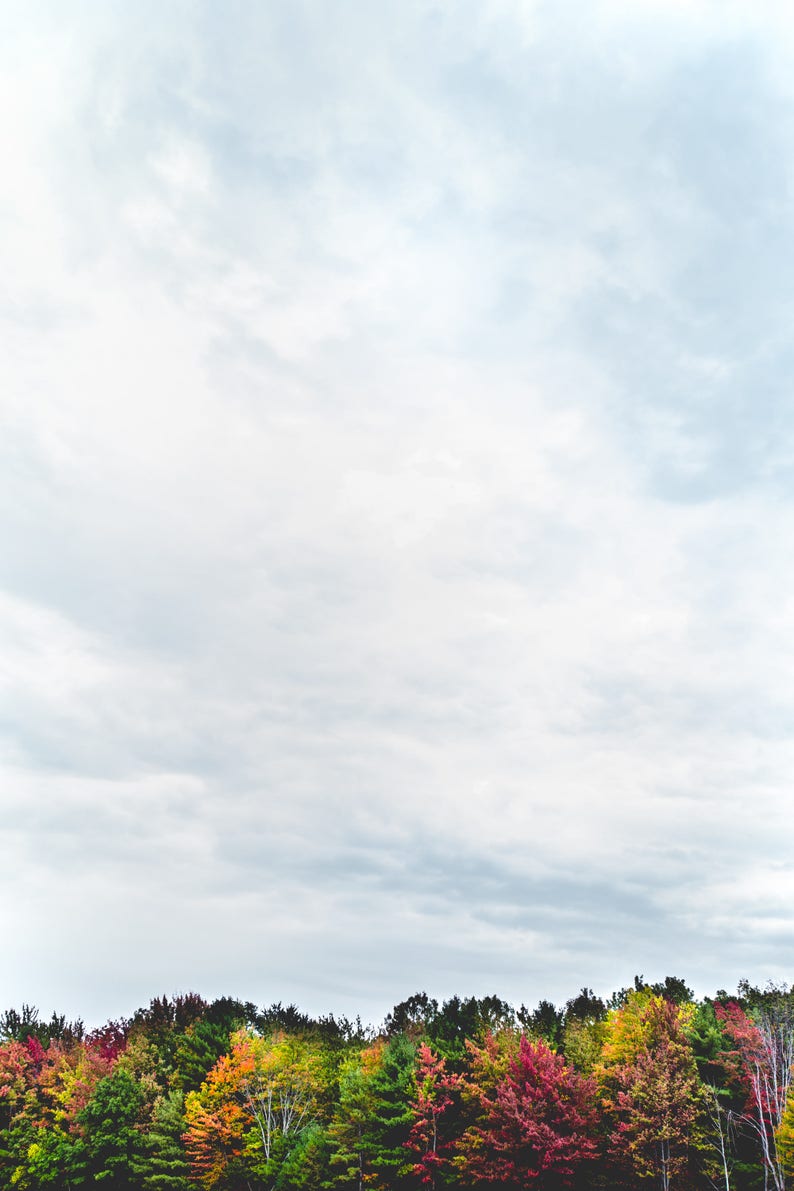 Albany New York Autumn Trees Skyline 5x7 8x10 Fine Art - Etsy