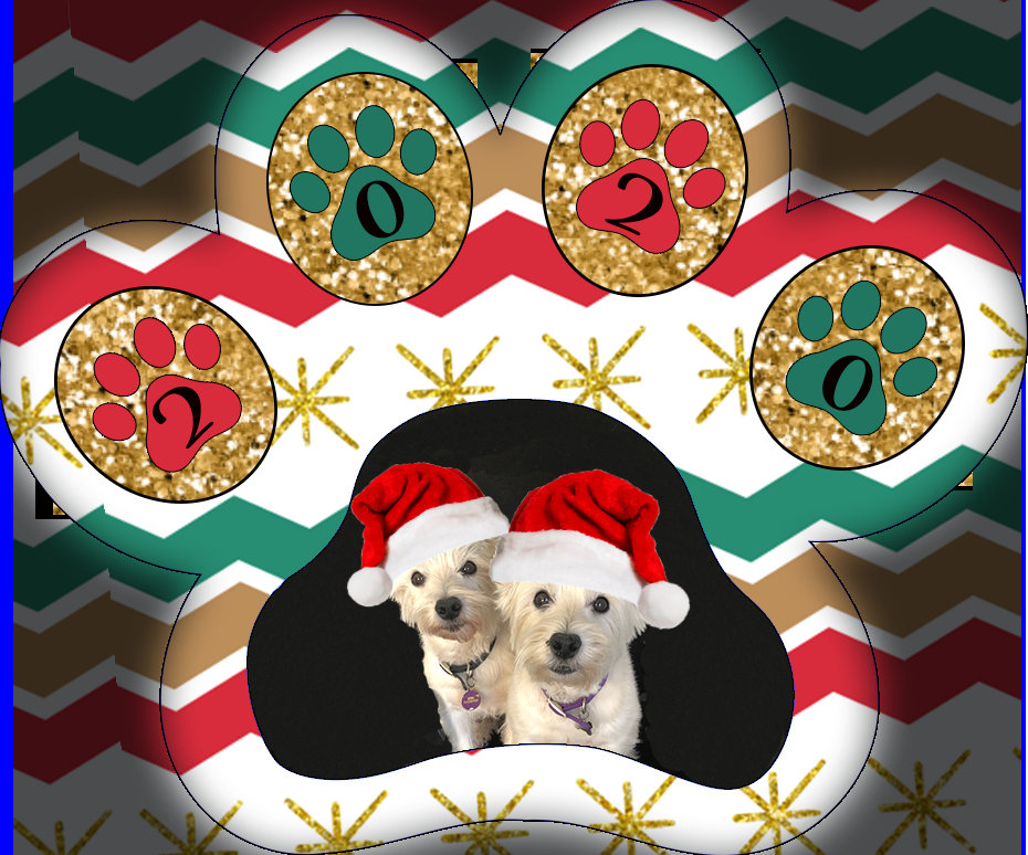 Cute Christmas dog paw with transparent photo frame and santa | Etsy