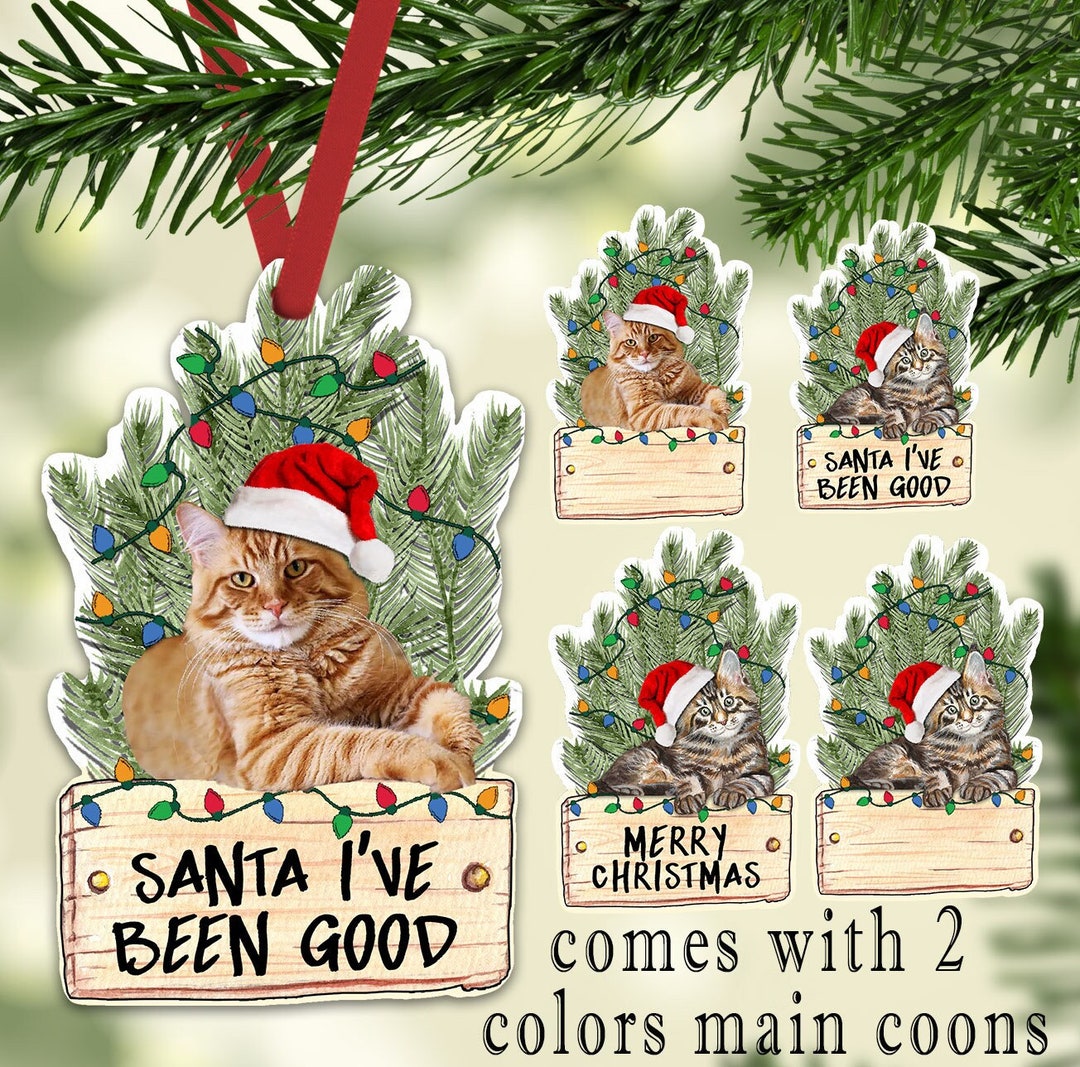 Ginger and Grey Color Main Coon Cat Ornament With 3 Signs Digital ...
