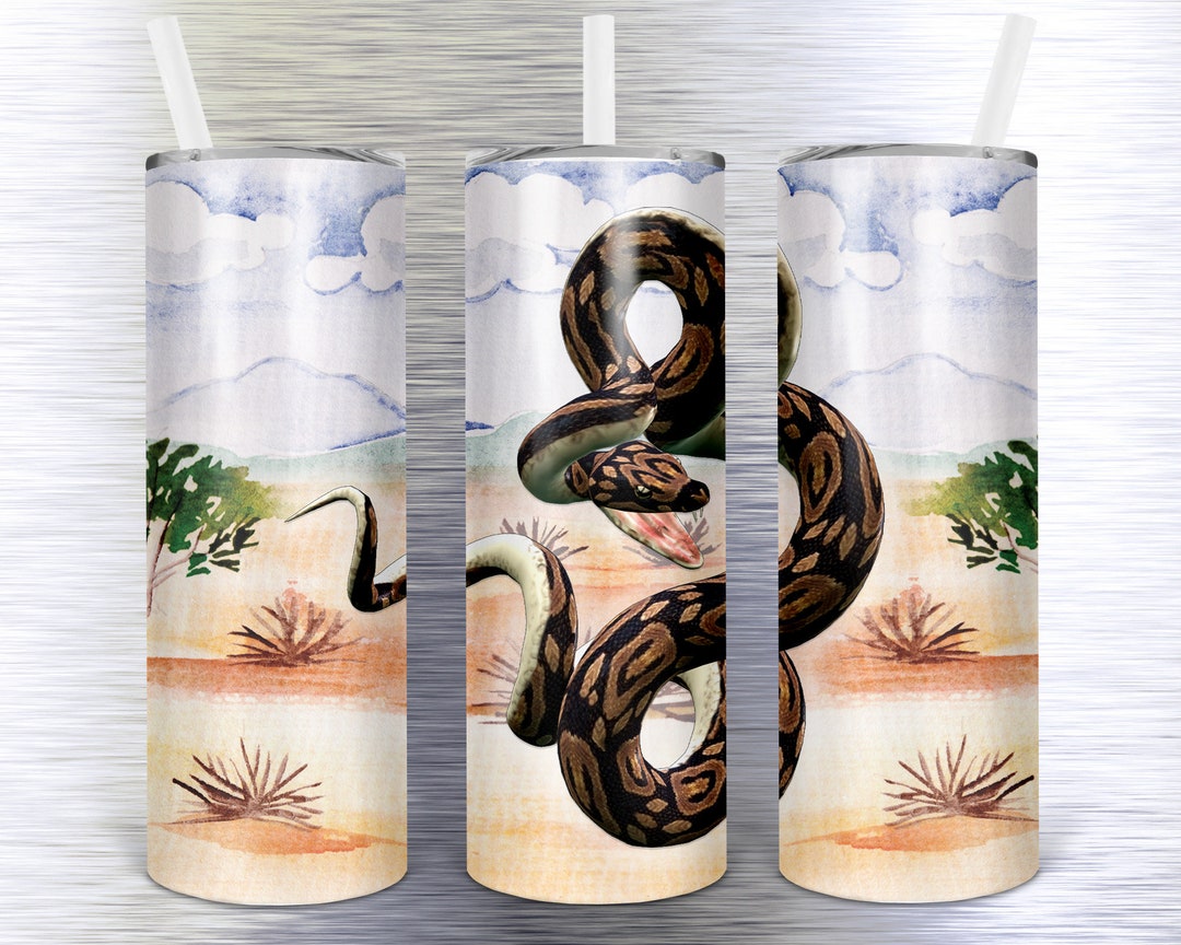 Ball Python Snake in Desert - You Get Straight & Tapered Instant ...