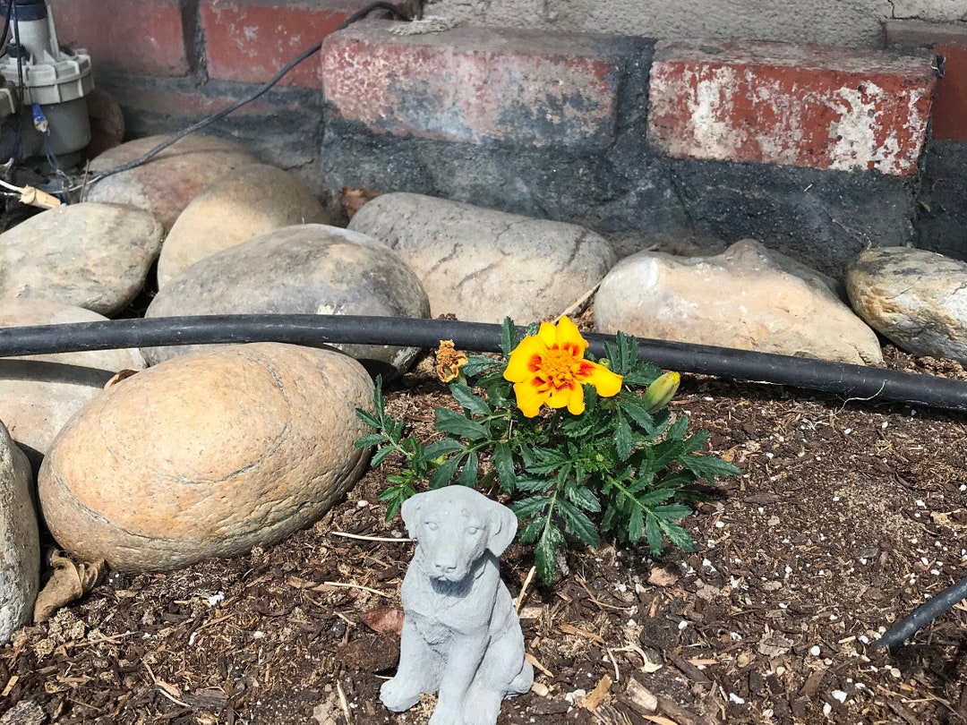 Dog Statue-small - Etsy