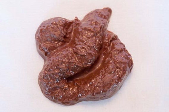 Chocolate Poo | Etsy